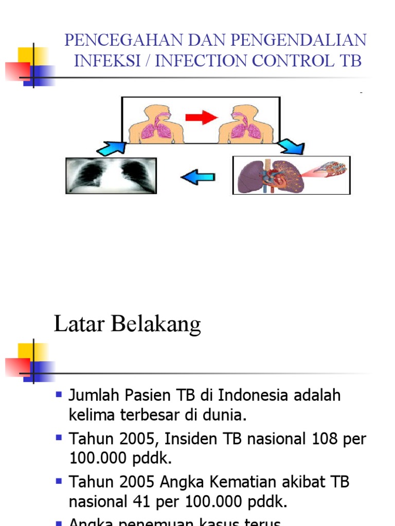 Ppi TB | PDF