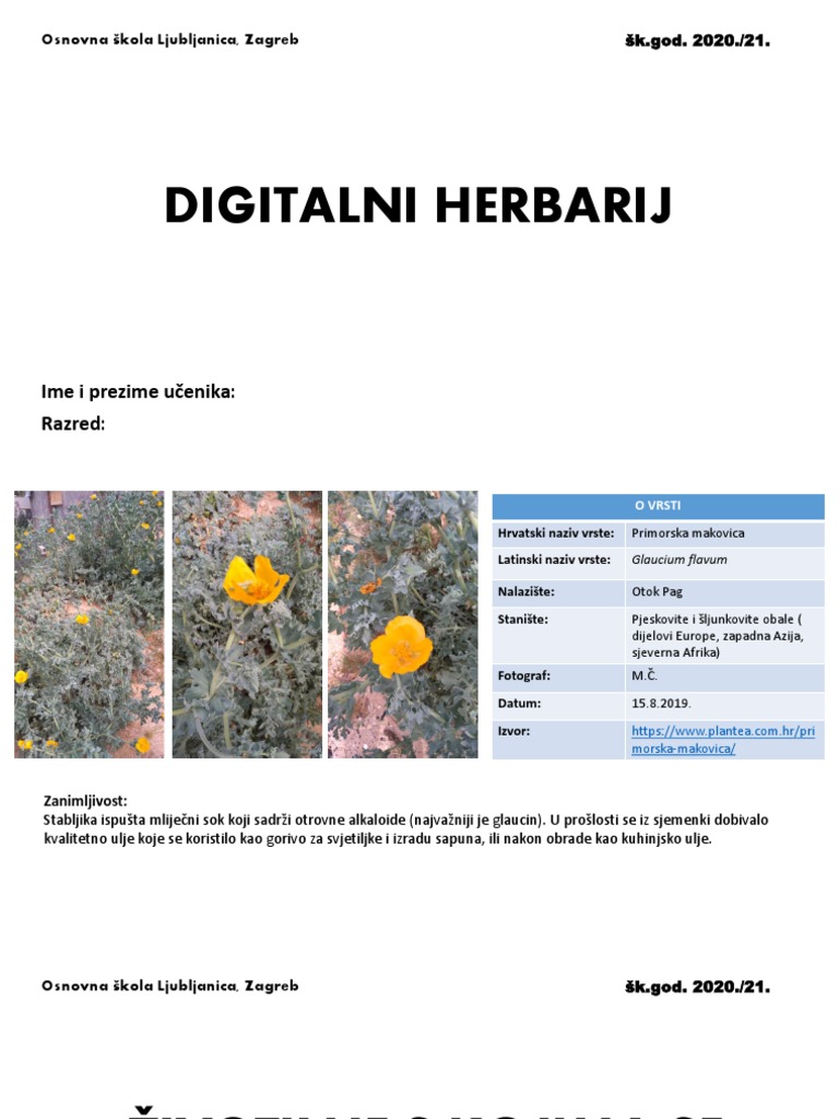 Digitalni Herbarij | PDF