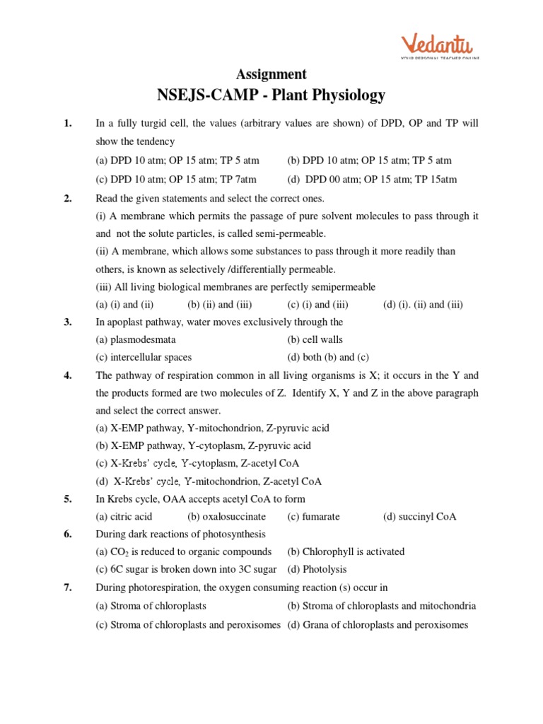 NSEJS-CAMP Assignment - Plant Physiology | PDF | Chloroplast ...