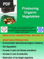 FNH Sba 1 Time Plan | PDF | Salad | Garlic