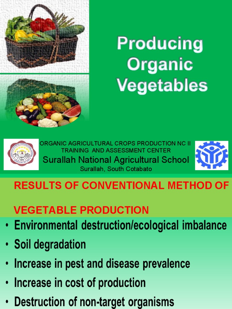 Organic Vegetable Production Techniques | PDF | Sowing | Pest (Organism)