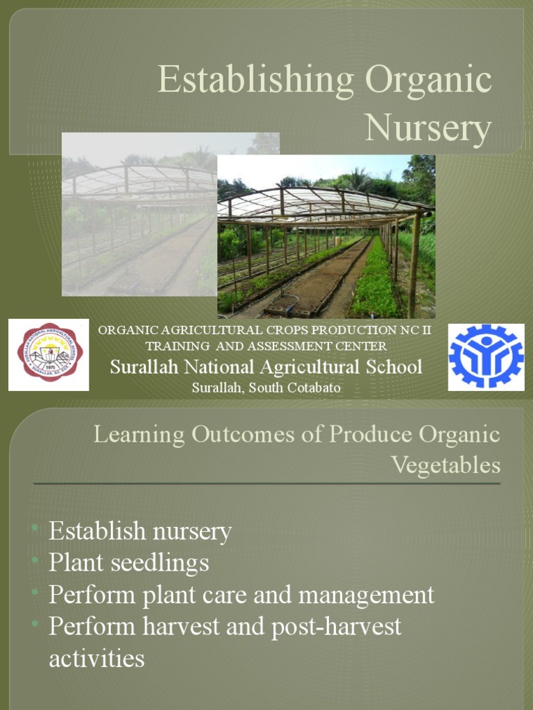 Establishing Organic Nursery | PDF | Plant Nursery | Seed