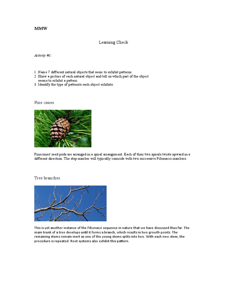 Patterns in Natural Objects Explained | PDF | Science & Mathematics