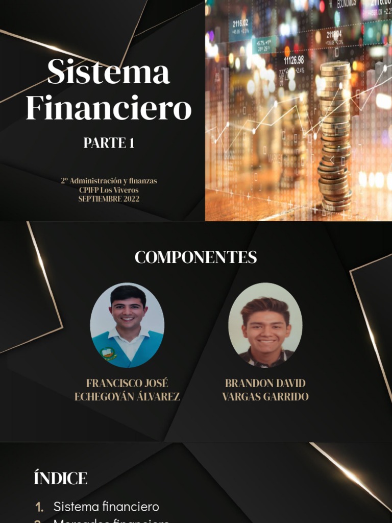 Sistema Financiero | PDF | Sistema financiero | Zona euro
