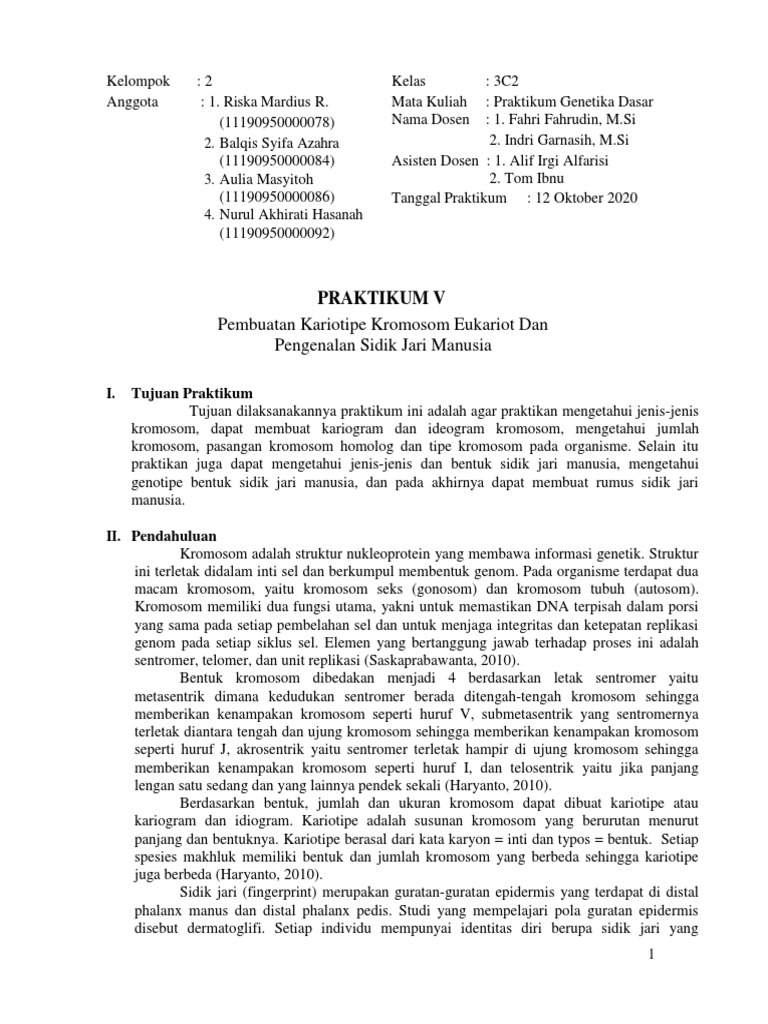 Laporan Pembuatan Kariotipe Kromosom Dan Sidik Jari Manusia | PDF
