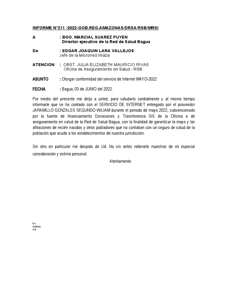 Modelo Informe De Internet Pdf