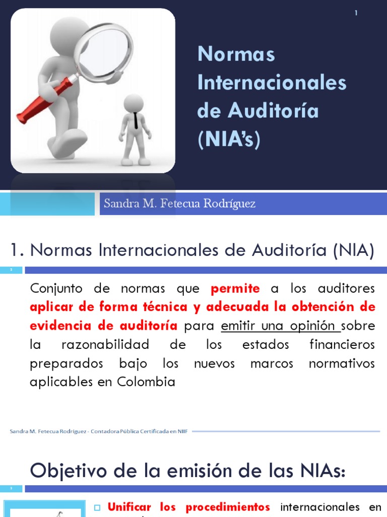 NIA Presentación Clase (Actualizada) | PDF | Auditoría | Contralor