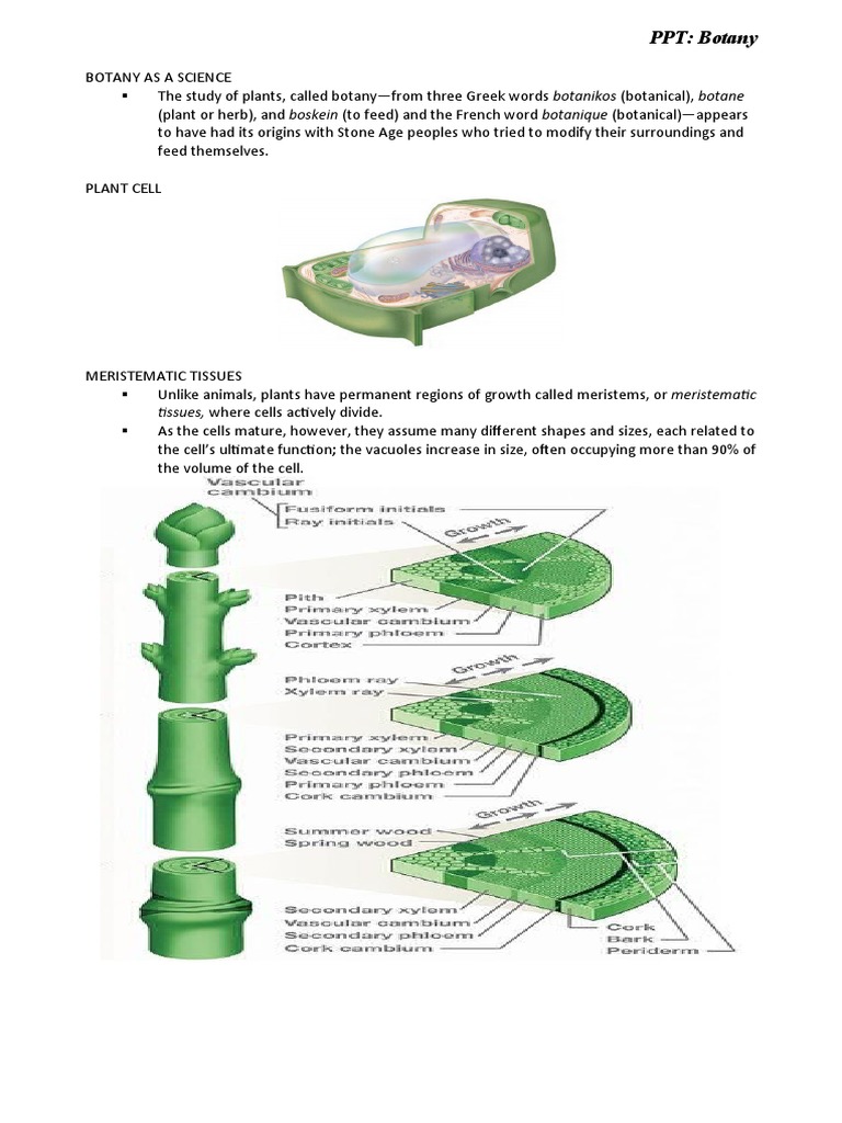 Botany Notes 101 | PDF | Tissue (Biology) | Anatomy