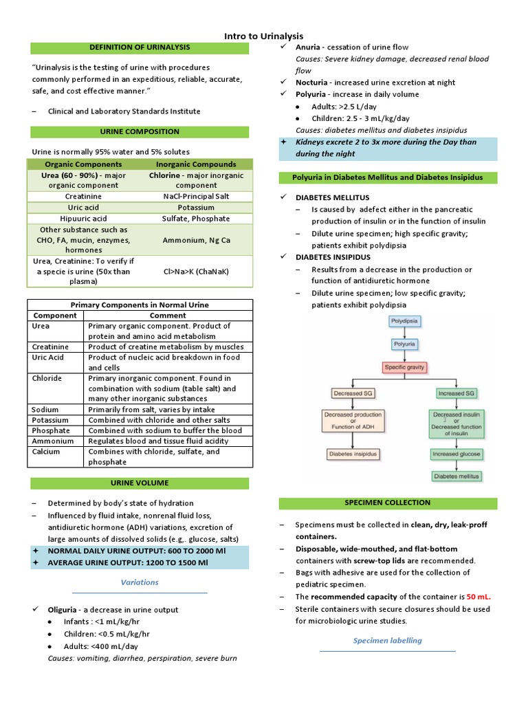 Intro To Urinalysis Trans | PDF | Urine | Creatinine