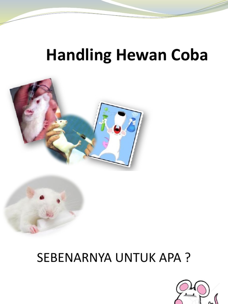 Handling Hewan Coba D Lab | PDF