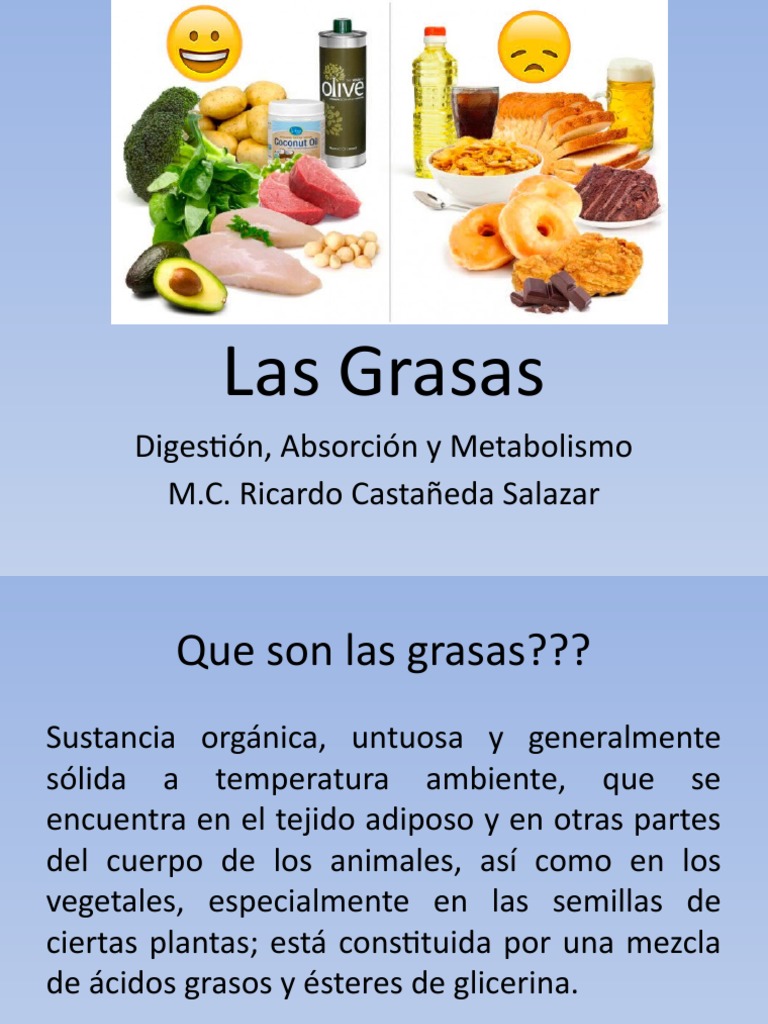 Las Grasas | PDF | gordo | Lípido