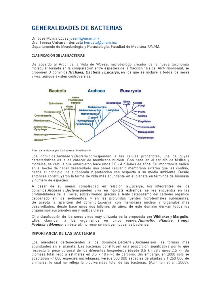 Generalidades de Bacterias | PDF | Las bacterias | Bacterias Gram-negativo