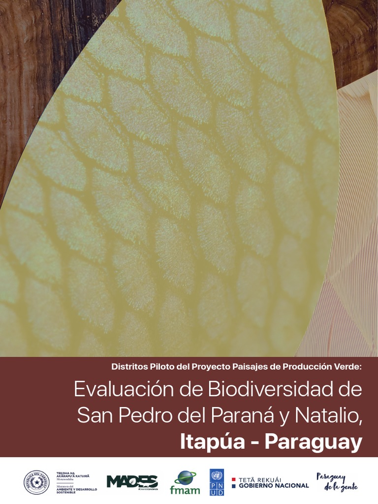 UNDP PY 2020 Componente Biodiversidad Itapua | PDF | Paraguay | Los bosques