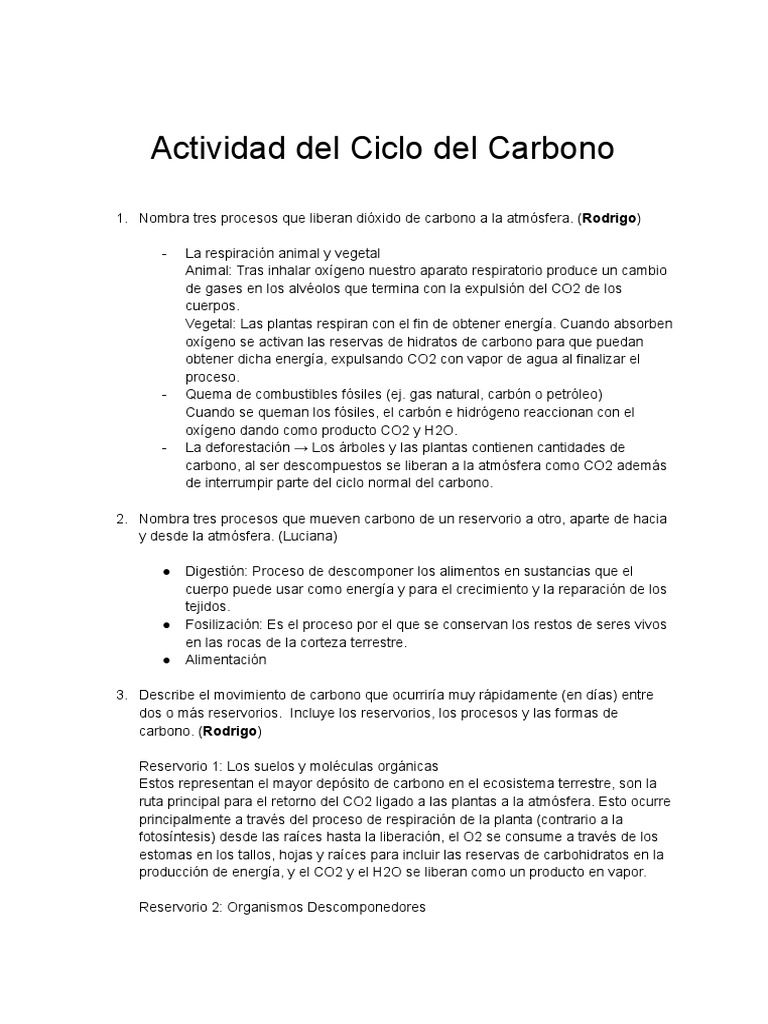 Actividad Del Ciclo Del Carbono | PDF | Ciclo del carbono | Dióxido de ...