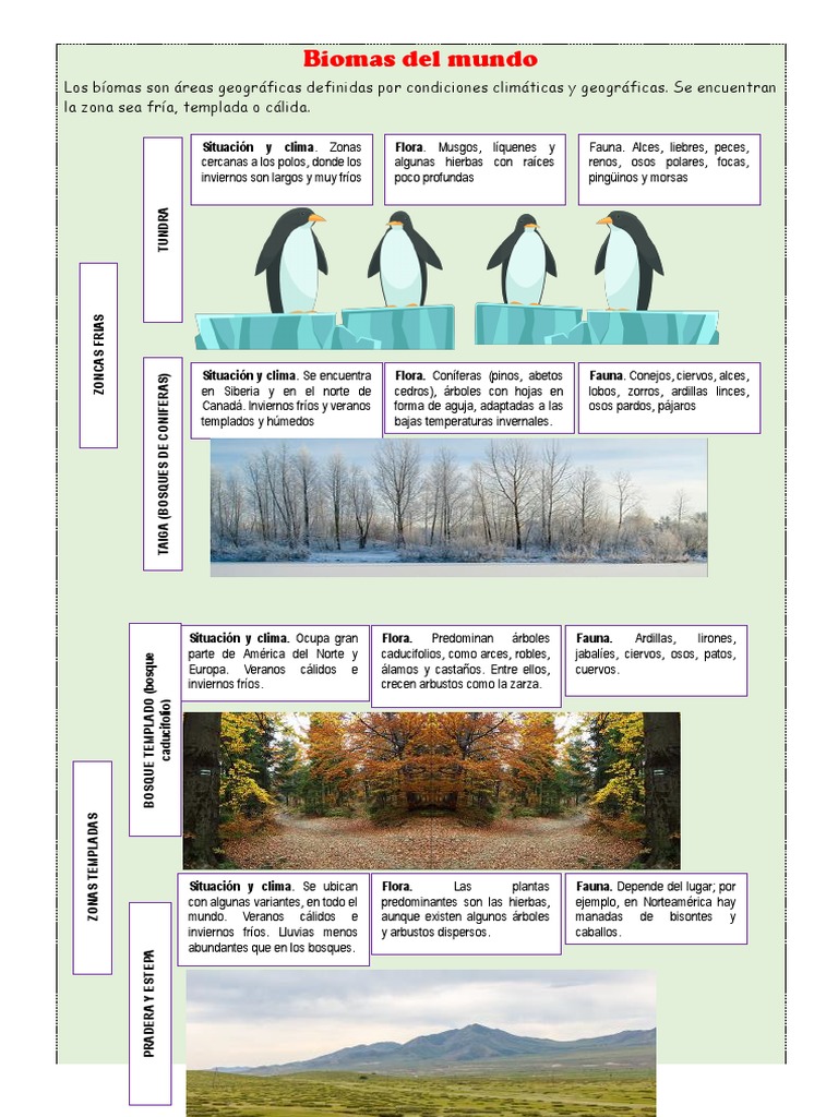 Fauna y flora de zonas templadas | PDF | Biogeografia | Entorno natural
