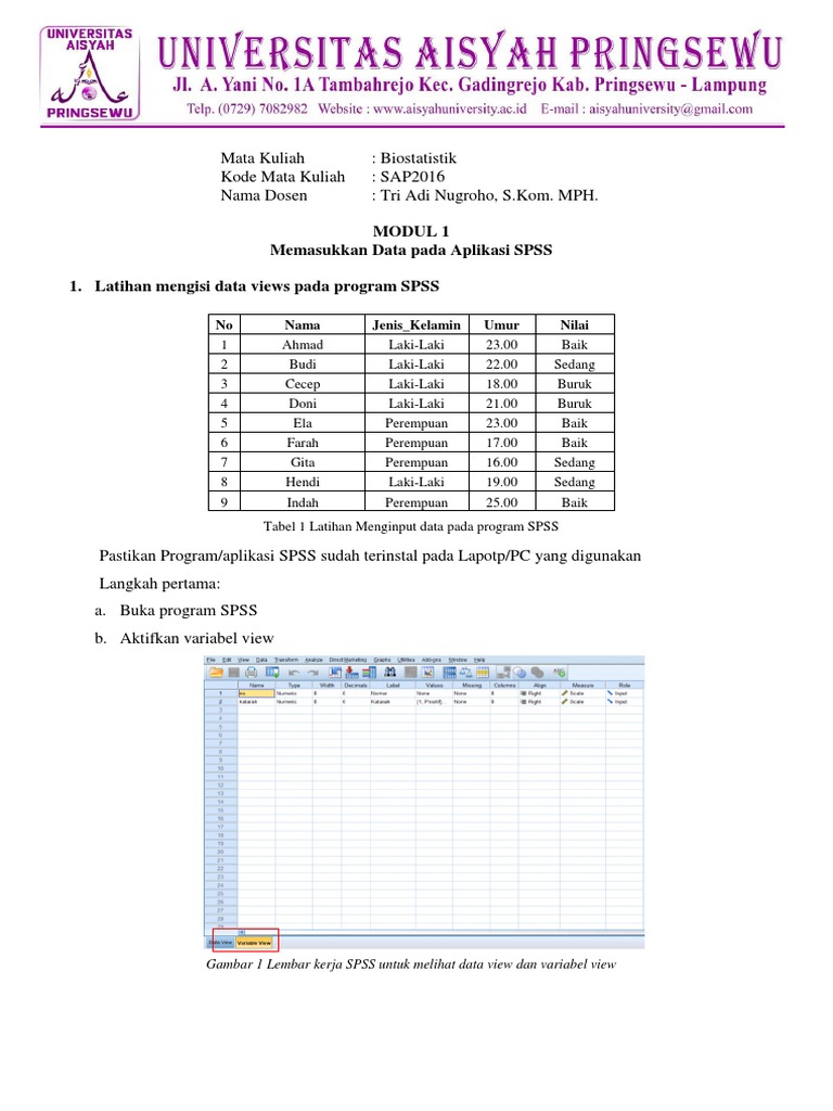 Modul1 Latihan SPSS | PDF