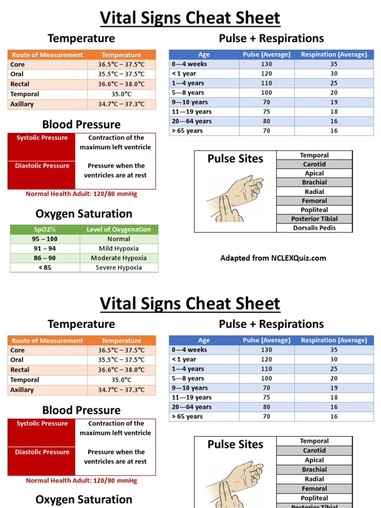 Temperature Pulse + Respirations | PDF | Pulse | Animal Physiology
