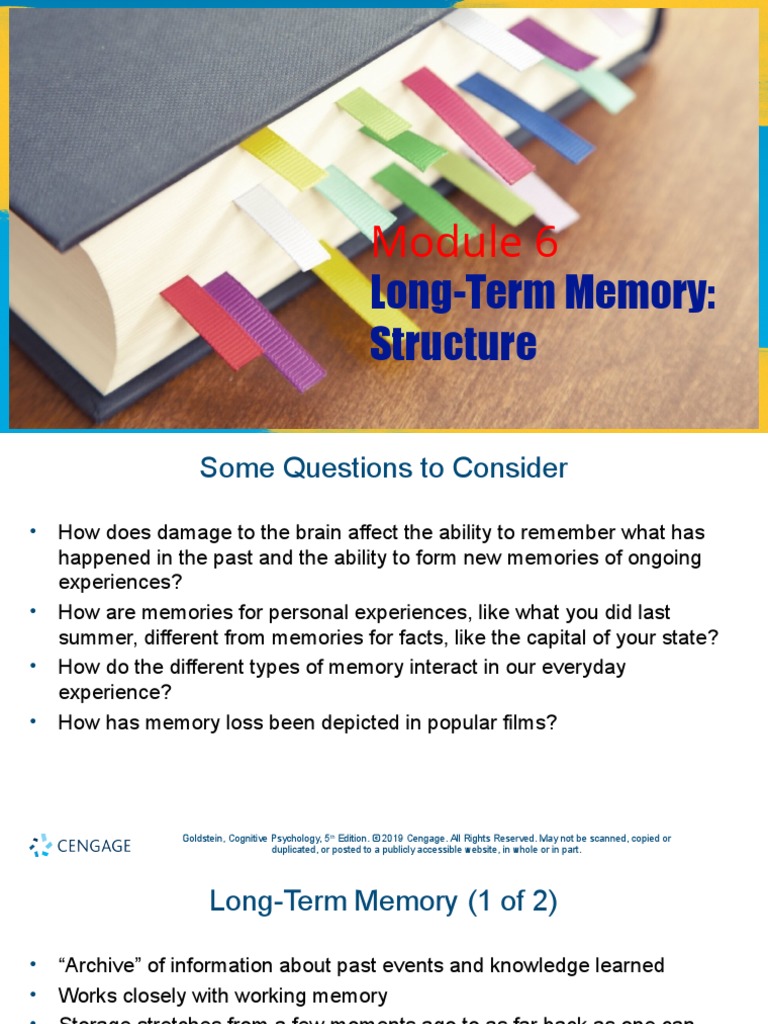Long-Term MemoryStructure | PDF | Memory | Long Term Memory
