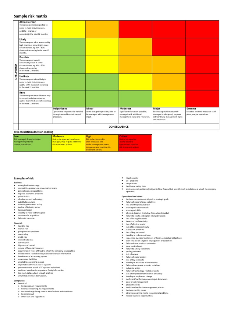 Risk Matrix for Directors' Decision-Making | PDF | Risk | Outsourcing