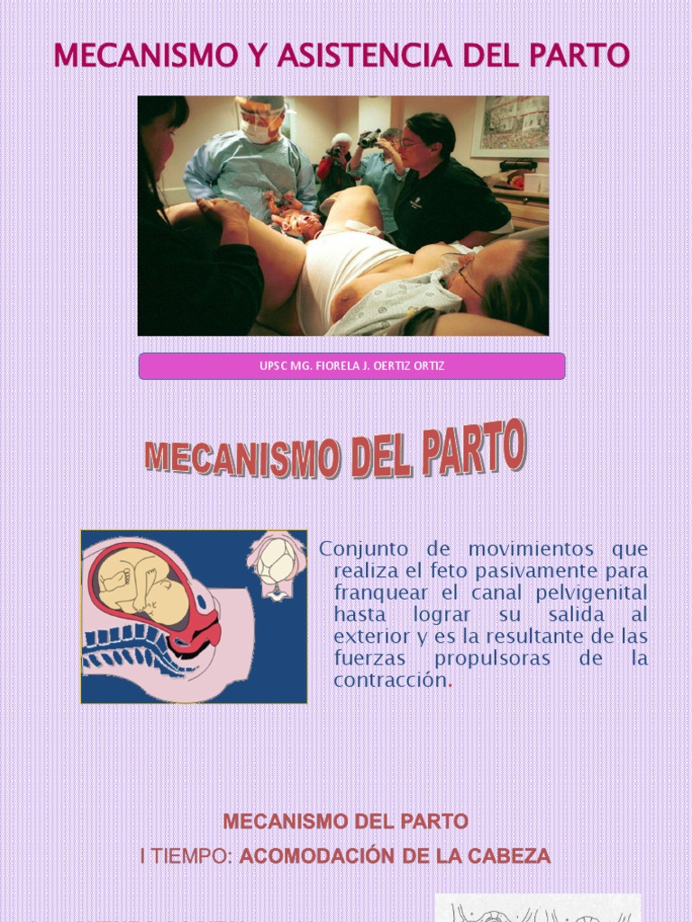 4 Mecanismo de Parto | PDF | Parto | Pelvis