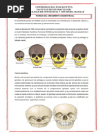 Teoria de Van Limborgh | PDF | Epigenética | Cráneo