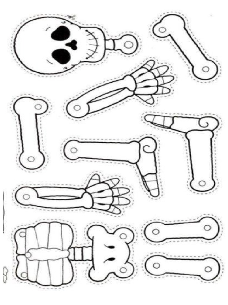 Esqueleto Recortable | PDF