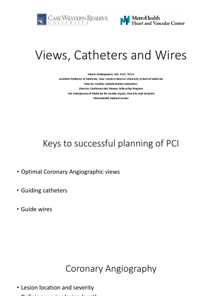 Views Catheters and Wires PDF | PDF | Coronary Circulation | Aorta