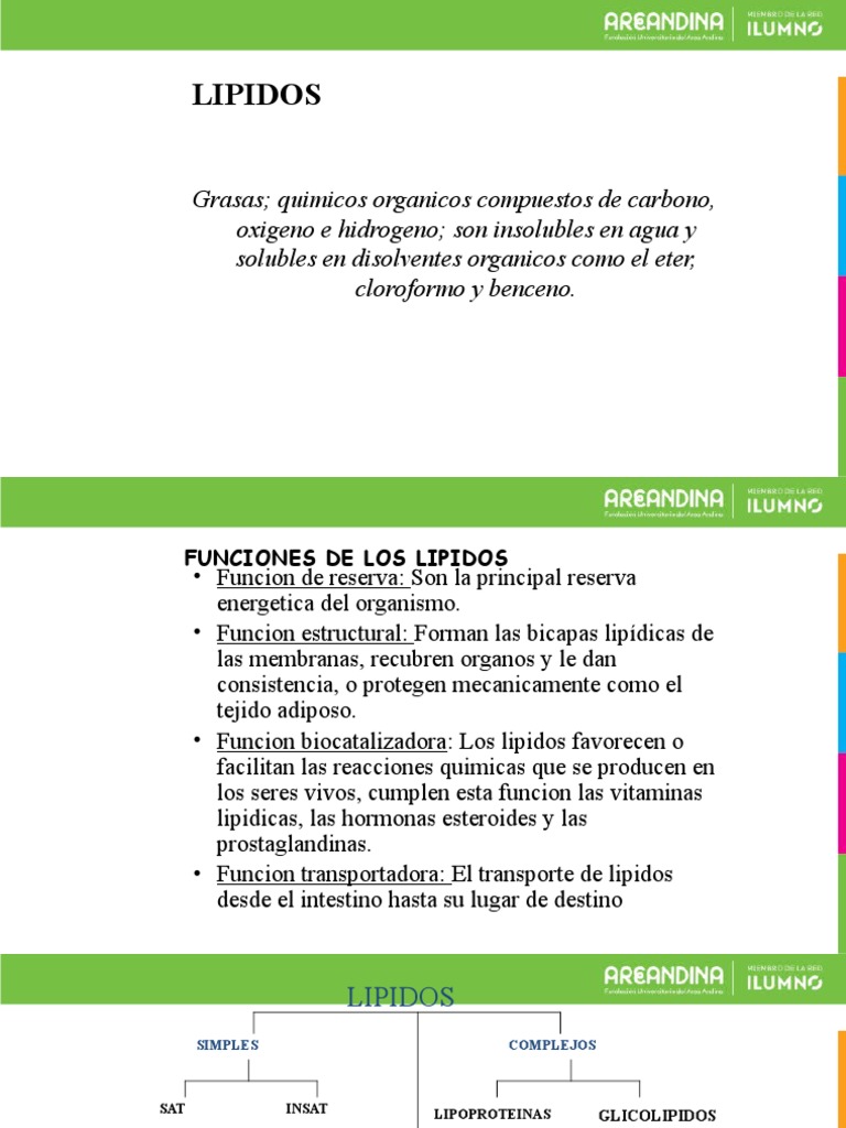 LIPIDOS | PDF | Lípido | Colesterol