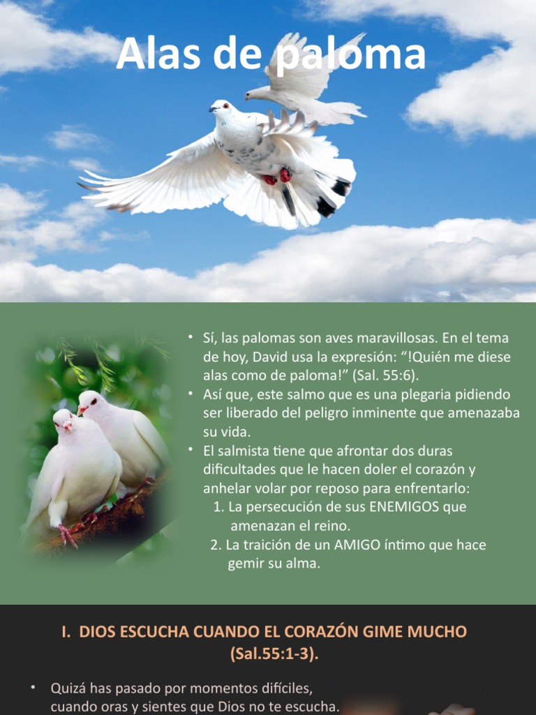 3-Alas de Paloma | PDF | David | Oración