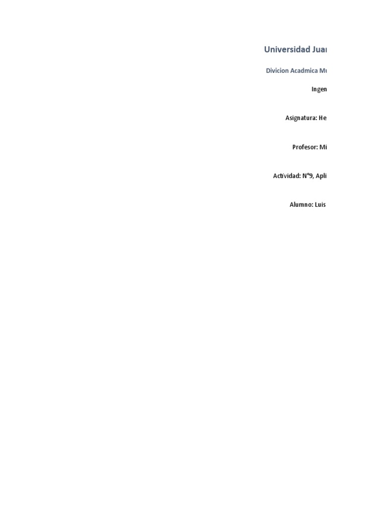 Macdonal Lizcano Luis Enrique Act.N°9 Unidad 2 | PDF