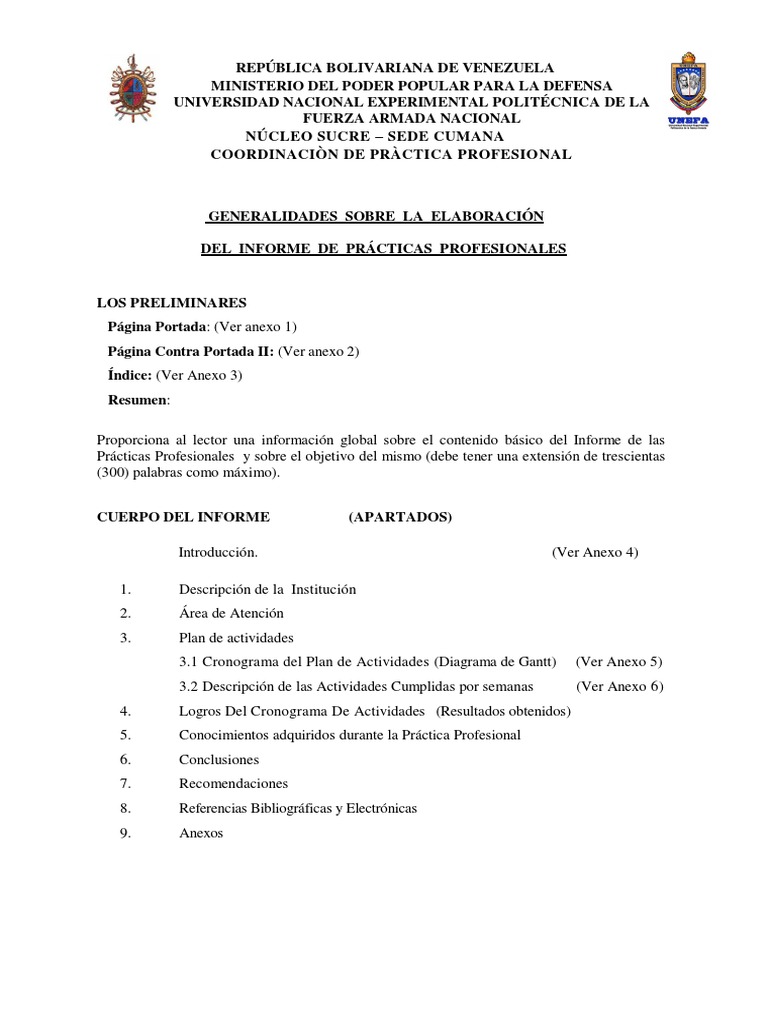 Estructura de Informe de Prácticas Profesionales | PDF | Encuadernación ...