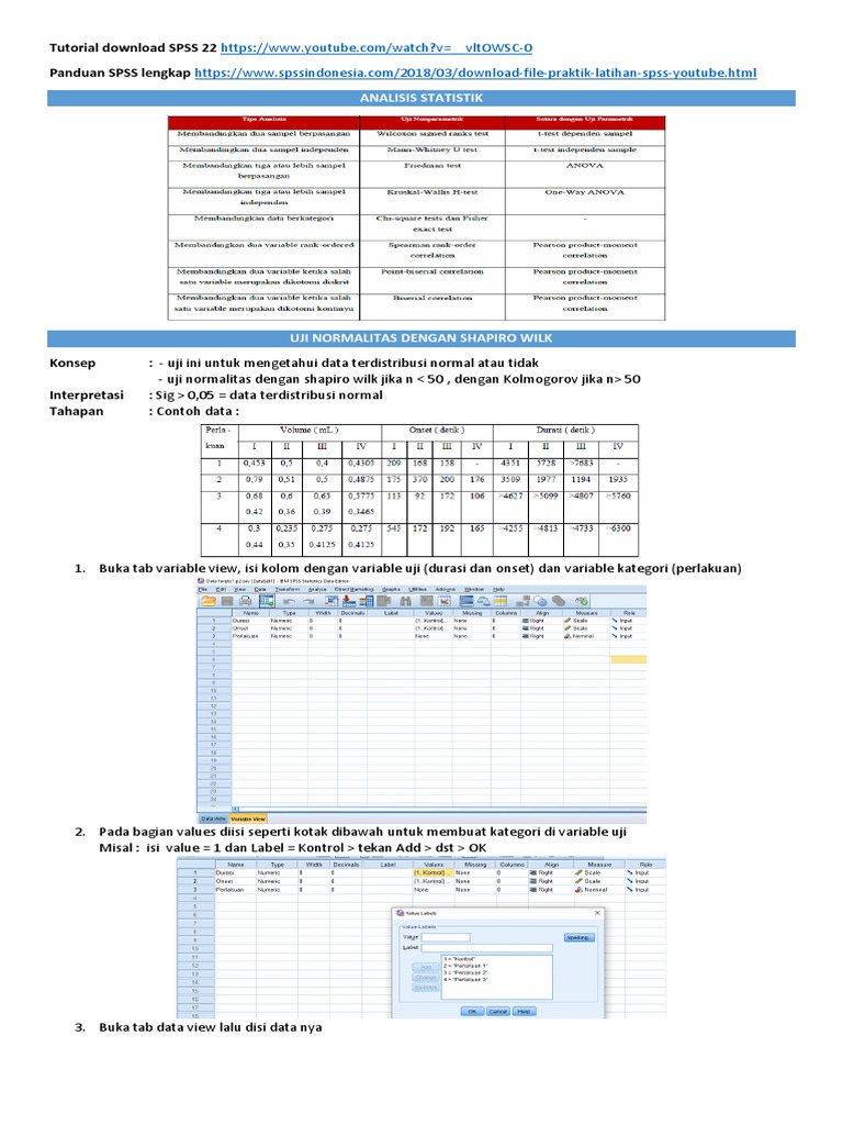 Panduan Dasar SPSS 22 | PDF