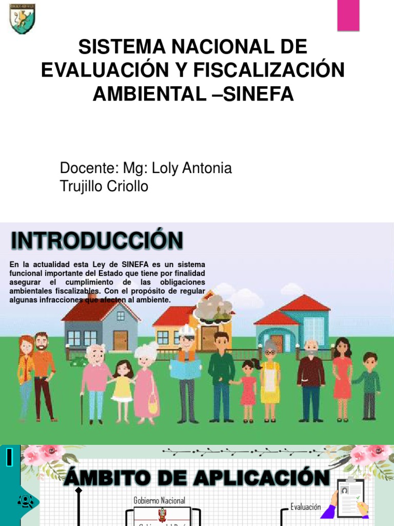 SINEFA | PDF | Auditoría