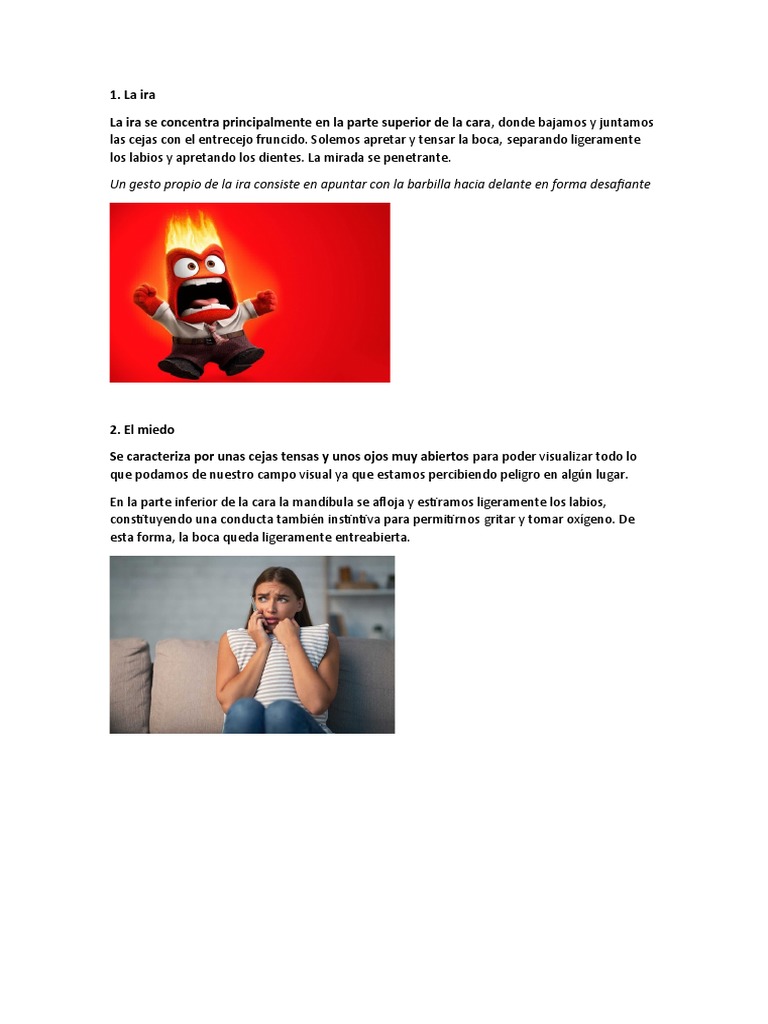 Expresiones Faciales Pdf