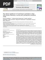 Kitty Magic | PDF | Anesthesia | Surgery