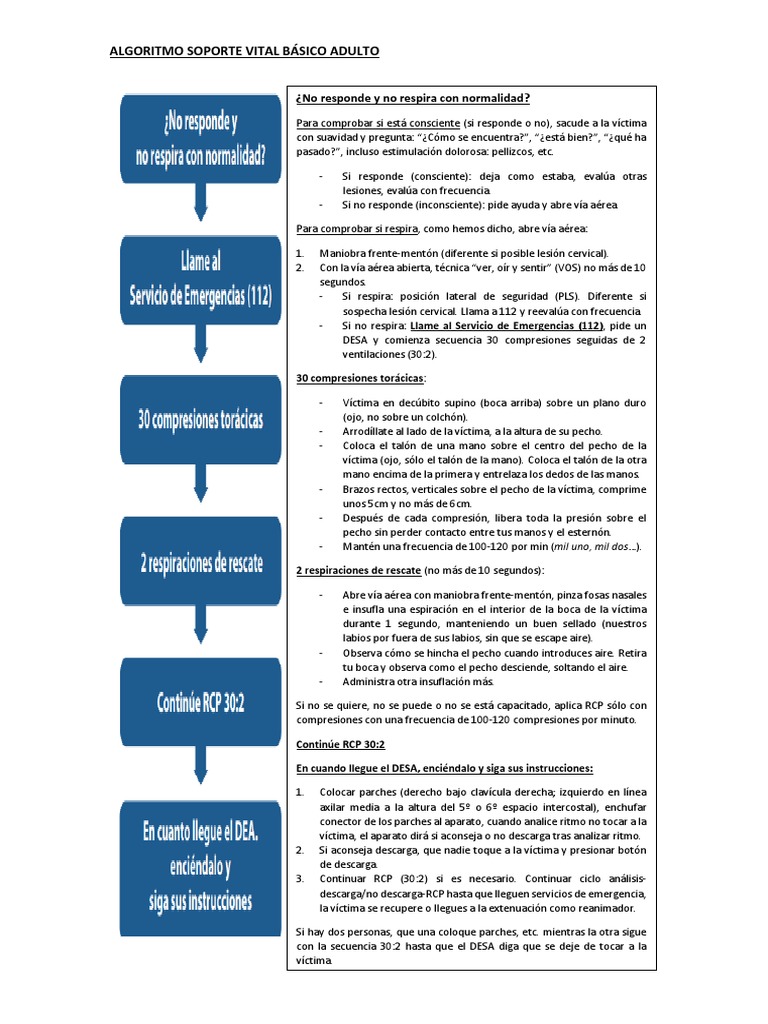 Esquema Algoritmo SVB Adulto | PDF | Reanimación cardiopulmonar | Tratamientos médicos