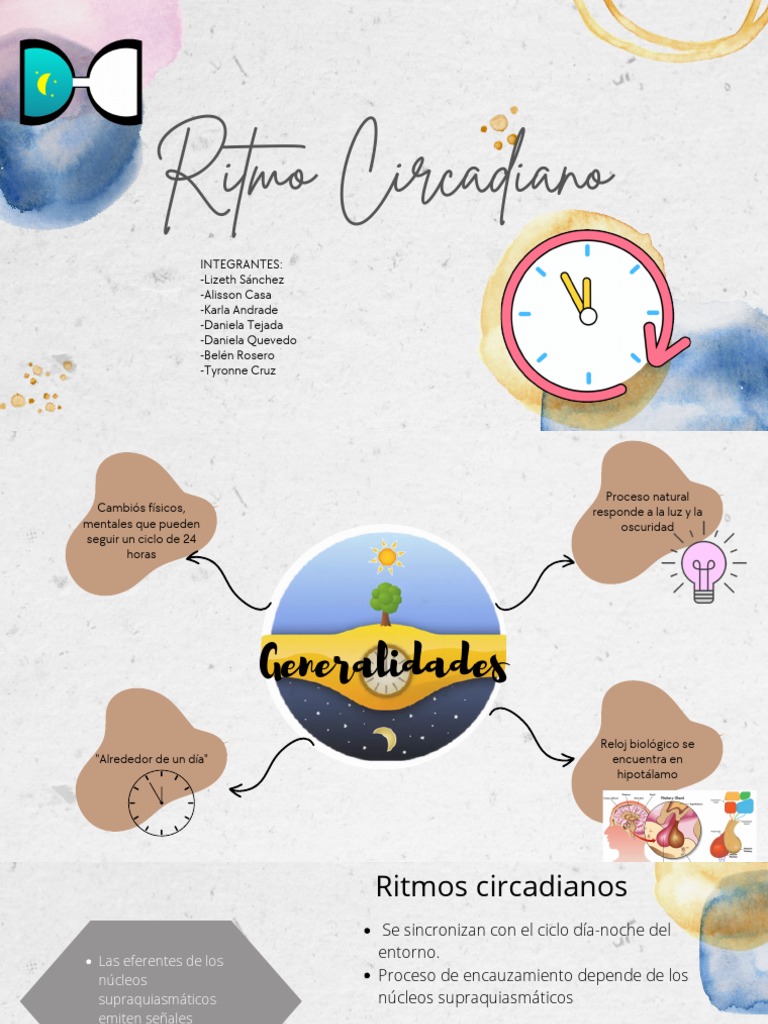 Ritmos Circadianos | PDF | Ritmo circadiano | Fisiología