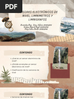 Limnímetros y Limnígrafos: Guía Técnica | PDF | Calibración | Agua