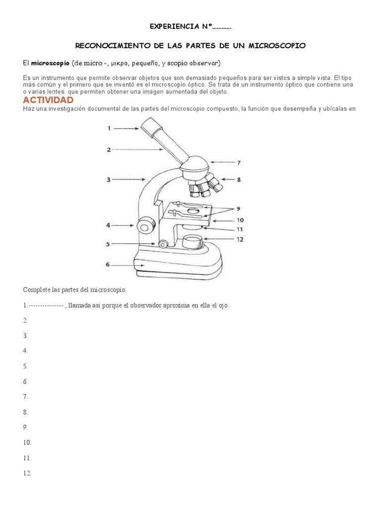 Partes del Microscopio Óptico | PDF
