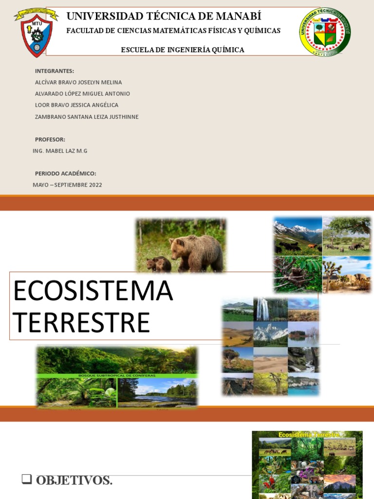 Creación y Análisis de Ecosistemas Terrestres | PDF | Ecosistema | Suelo