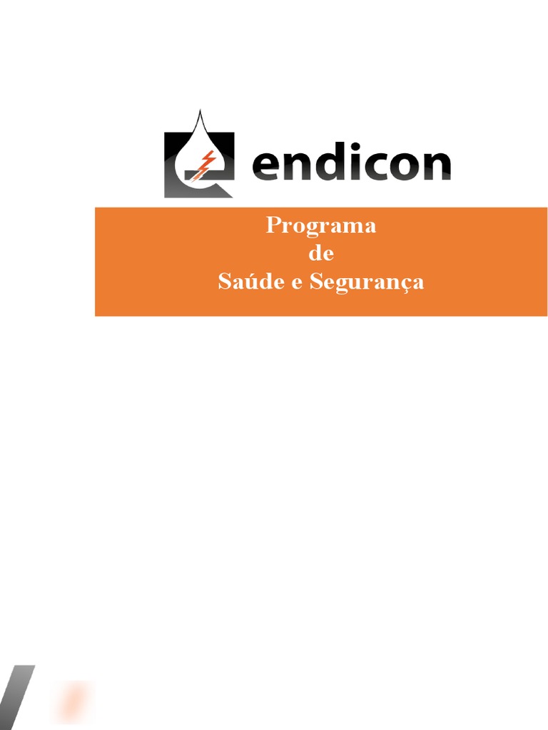 Programa de Saúde e Segurança - ENDICON | PDF | Segurança e saúde ...