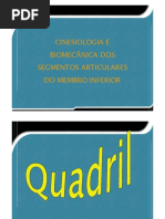 11 - Região Poplítea | PDF | Joelho | Anatomia humana