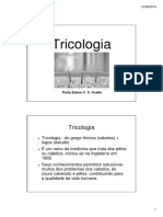 Músculo Piriforme Origem, Inserção, Inervação e Função Kenhub | PDF ...
