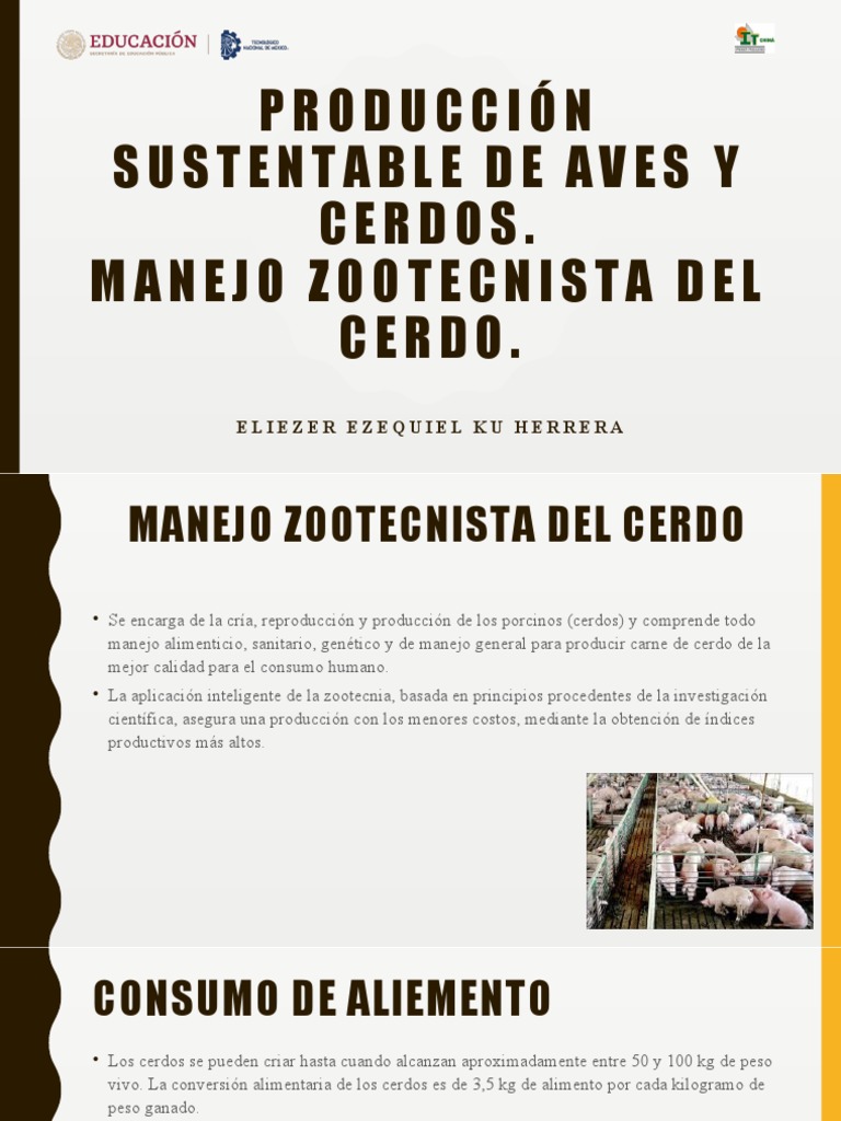 Manejo Zootecnista de Cerdos | PDF | Sistema reproductivo | Parto