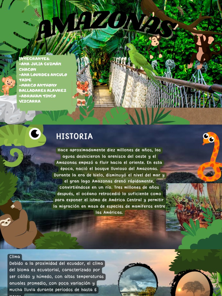 AMAZONAS | PDF | río Amazonas | Geografía Física