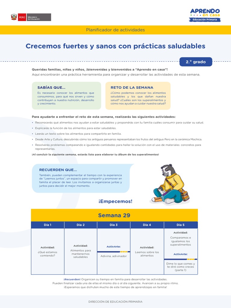 s29 Primaria 2 Planificador | PDF