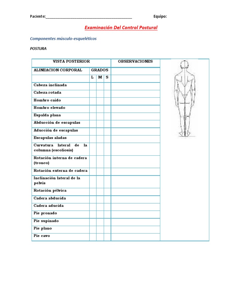 Examinación Del Control Postural | PDF | La columna vertebral | Sistema ...