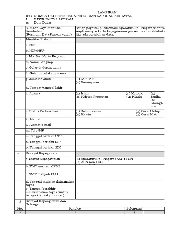 Format Lap Tahunan Data Dasar PKM PMK 31 Utk Pegawai | PDF