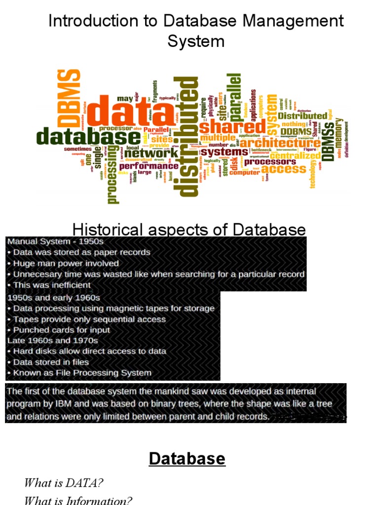 Lecture 1 DBMS | PDF