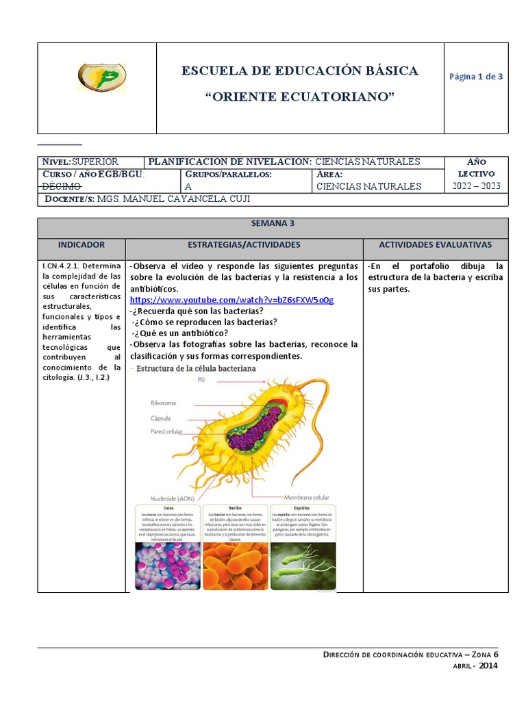 NIVELACIÓN CCNN 10mo. | PDF | Masa | Gravedad